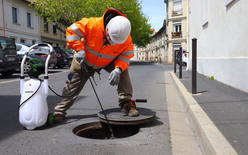 Campagne de dératisation et de désinsectisation.